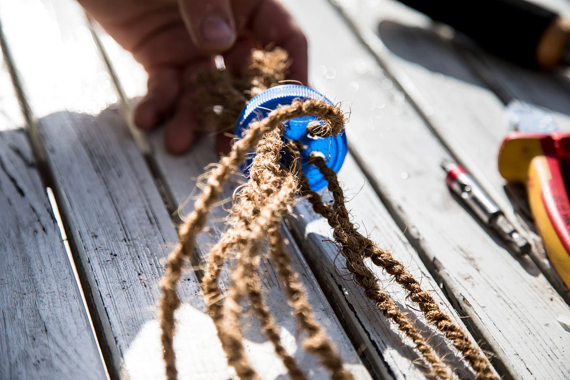 Vertical Garden: dein Gartenprojekt auf kleinstem Raum | Kreis der ...