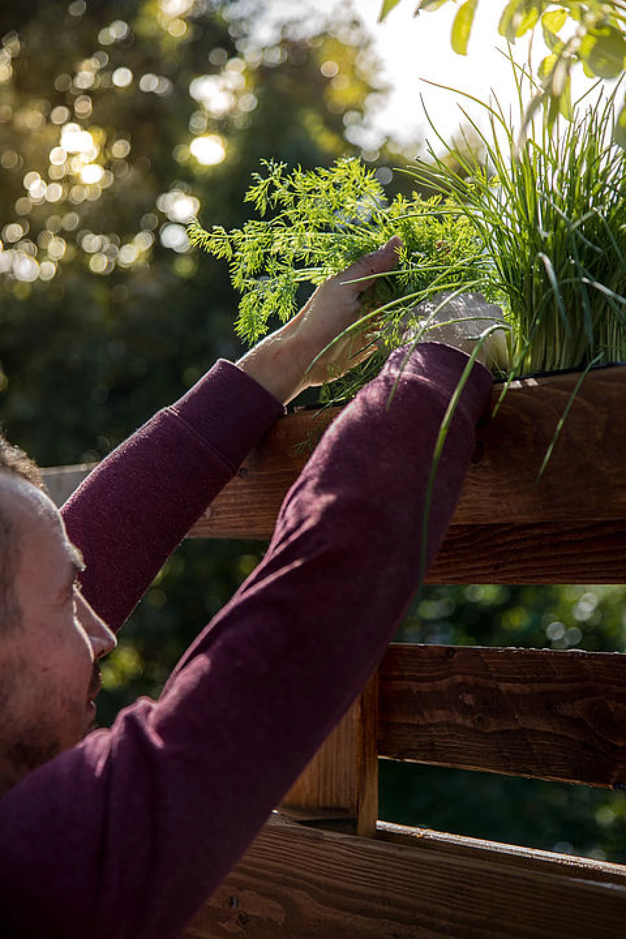 Vertical Garden: ton projet de jardinage dans un espace très exigu ...