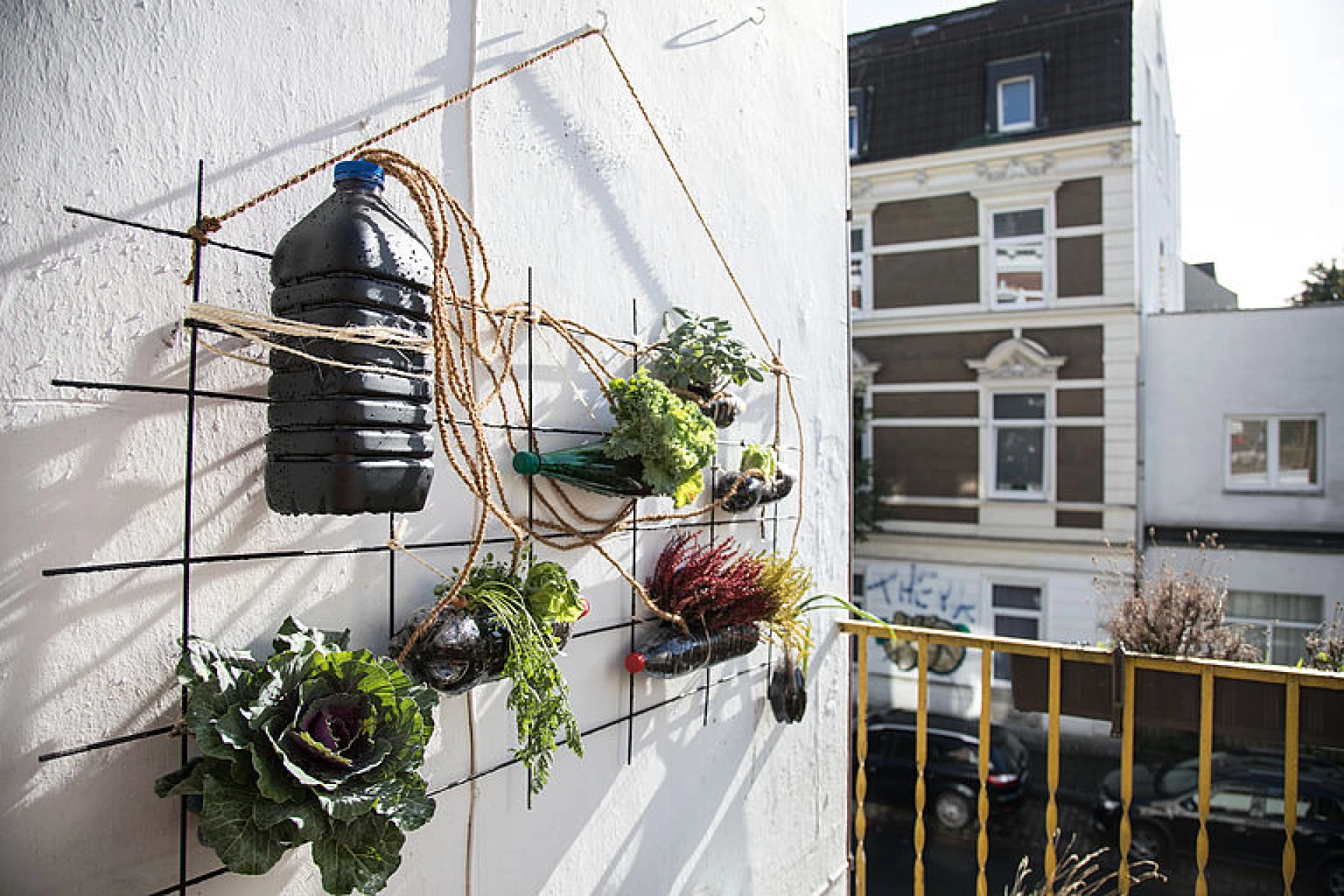 Vertical Garden: ton projet de jardinage dans un espace très exigu ...
