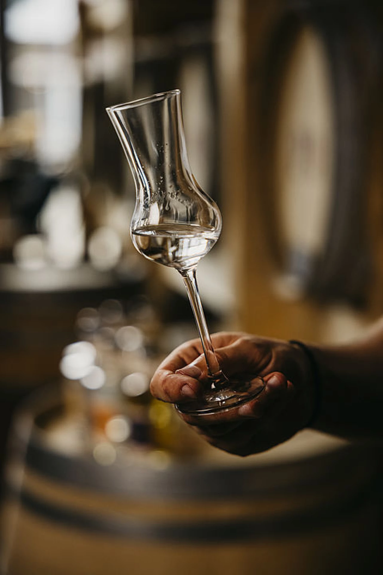 Geiste und Brände: ein Flirt zwischen Natur und reinstem Alkohol